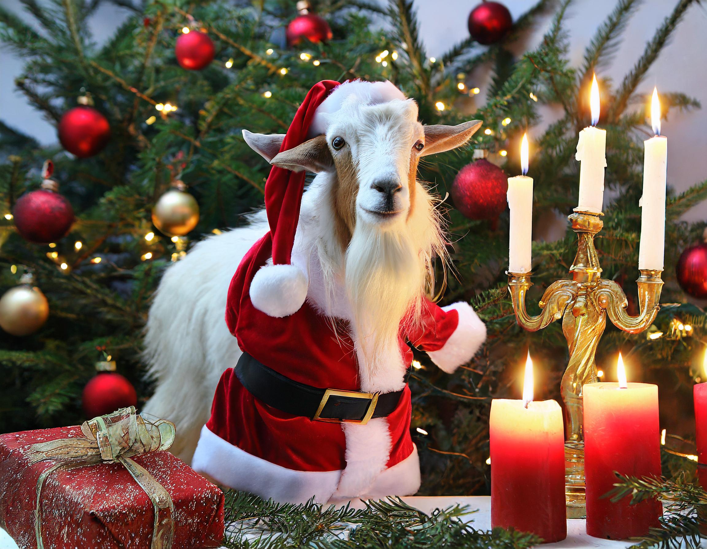 Verdt å lese -- JULENS SYMBOLER OG TRADISJONER | Hei Senior